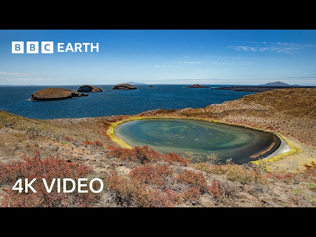 Explore The Secret Areas of Earth Where Nature Remains Untouched | 4K UHD | BBC Earth | Nestia
