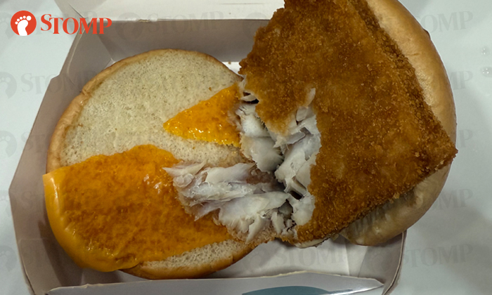 For the umpteenth time, McDonald's Filet-O-Fish burger comes with half ...