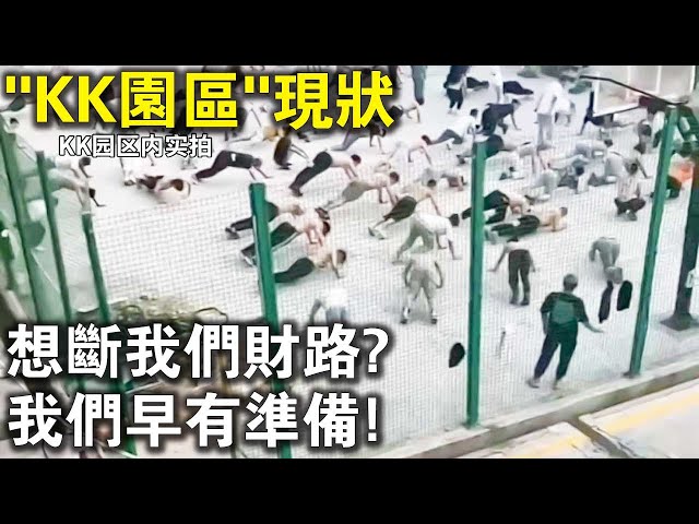想断我们财路，我们早有准备！“KK园区”最新实拍现状曝光，一切照常？ | Nestia
