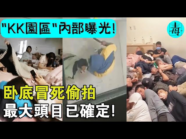 【被禁重发】卧底冒死偷拍，最大头目已确定！“KK园区”内部画面曝光，里面的人太惨了！ | Nestia