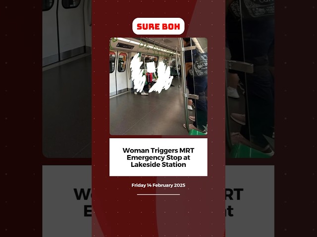 Woman Triggers MRT Emergency Stop at Lakeside Station | Nestia