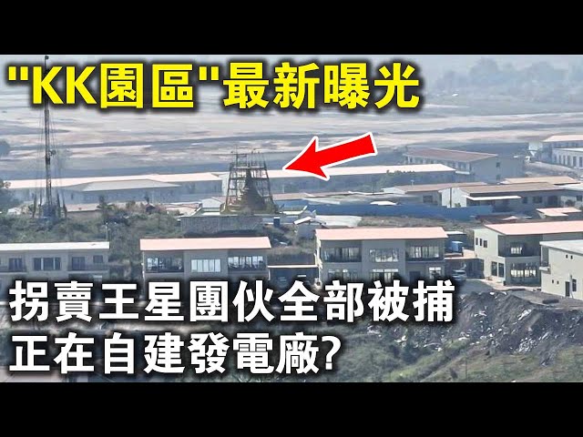 拐卖王星10人团伙，全部被捕！“KK园区”最新曝光，正在自建发电厂？ | Nestia