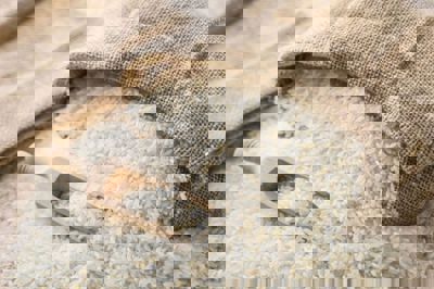 Subsidised rice to be monitored with two-tier control system | Nestia