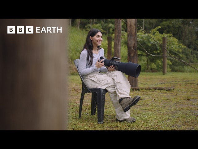 Photographing Rare and Elusive Birds in Brazil | Framed In Nature | BBC Earth | Nestia