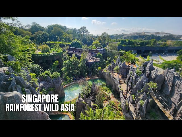 Singapore Zoo Rainforest Wild Asia Walking Tour (2025) | Nestia