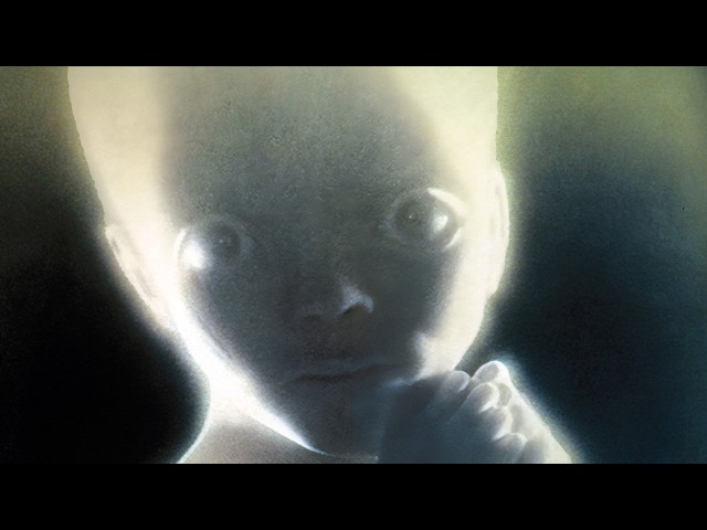 The Most Confusing Moments In Sci-Fi Movie History Explained | Nestia