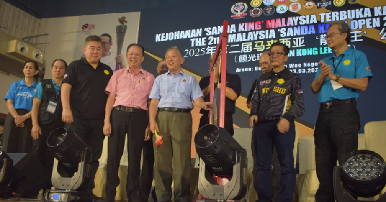 张金发:4项目已上榜 盼武术散打列青奥会 | Nestia