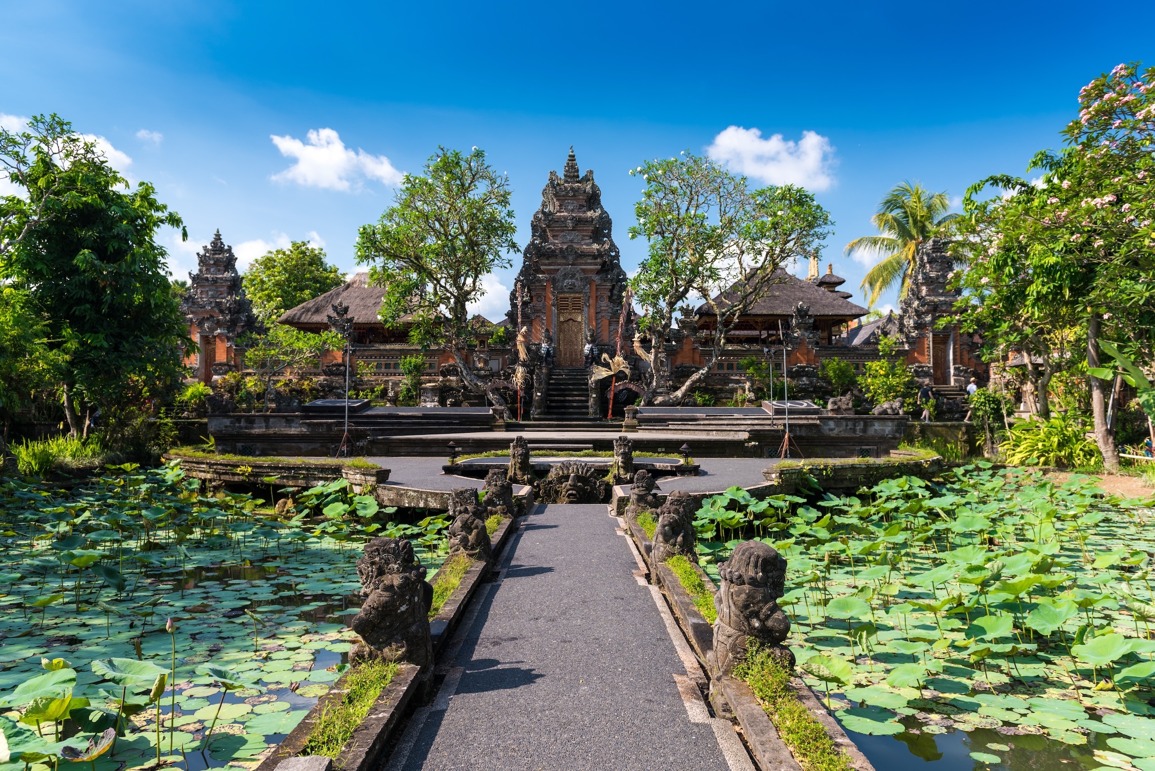 Bali just issued strict new rules for tourists – here's all you need to ...