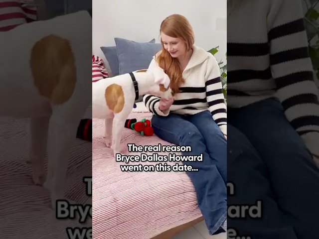 The Real Reason Bryce Dallas Howard Went On This Date... | The Dodo ...