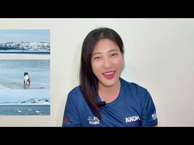 全网痛悼一只叫“悟空”的猫，b站旅行博主赵朔捡到“流量密码”，以及被改变的人生。。 | Nestia