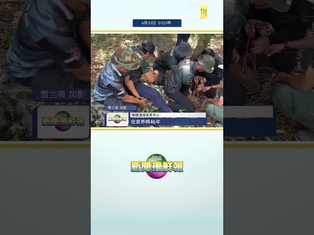 【转移湿地保育中心 住家养鳄46年】 | Nestia