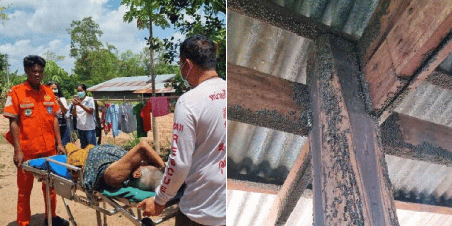 95-Year-old woman in Thailand evacuated after authorities discover home ...