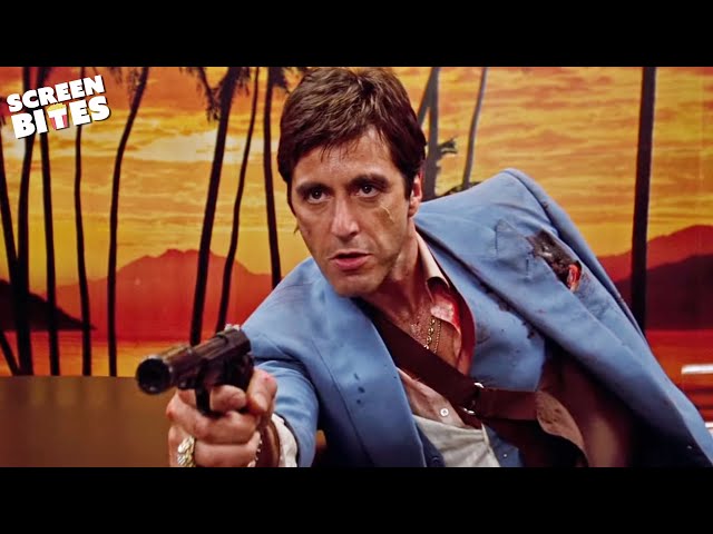 Every Dog Has His Day | Scarface (1983) | Screen Bites | Nestia