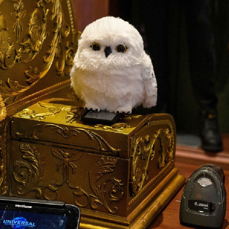 Secrets of Universal’s Epic Universe Wizarding World of Harry Potter ...