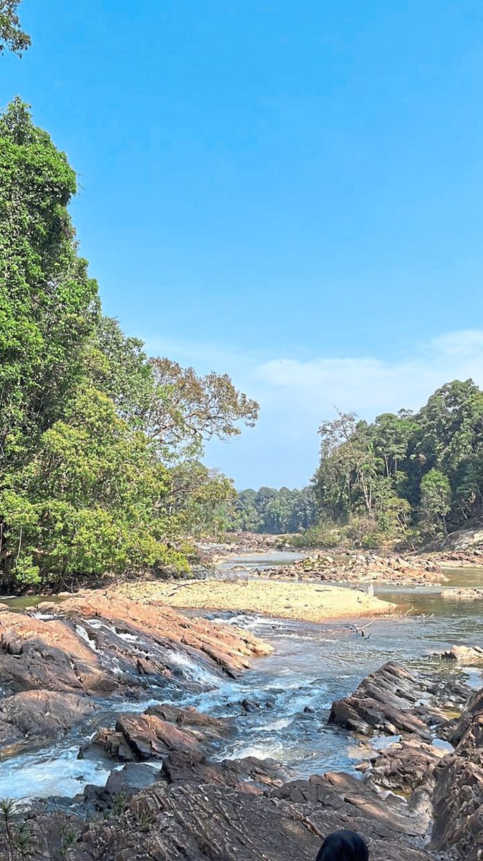 ‘Johor too long known as just Singapore’s neighbour’ | Nestia