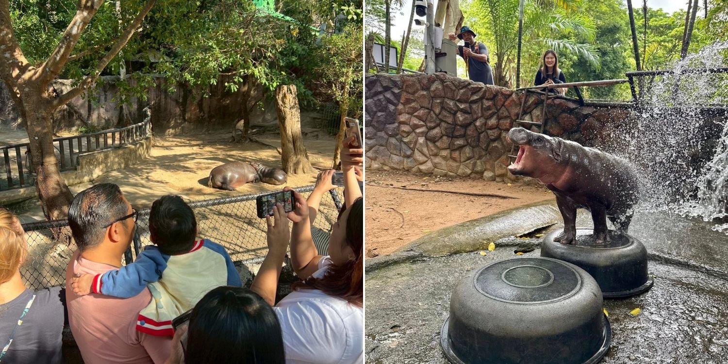 6-Year-old boy in Thailand with terminal cancer passes away after ...