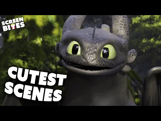 30 Minutes of Toothless Being Unbelievably Cute | Screen Bites | Nestia