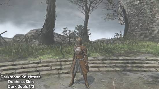 《艾尔登法环：黑夜君临》神仙MOD展示！天命人、奎爷你们都在？ | Nestia