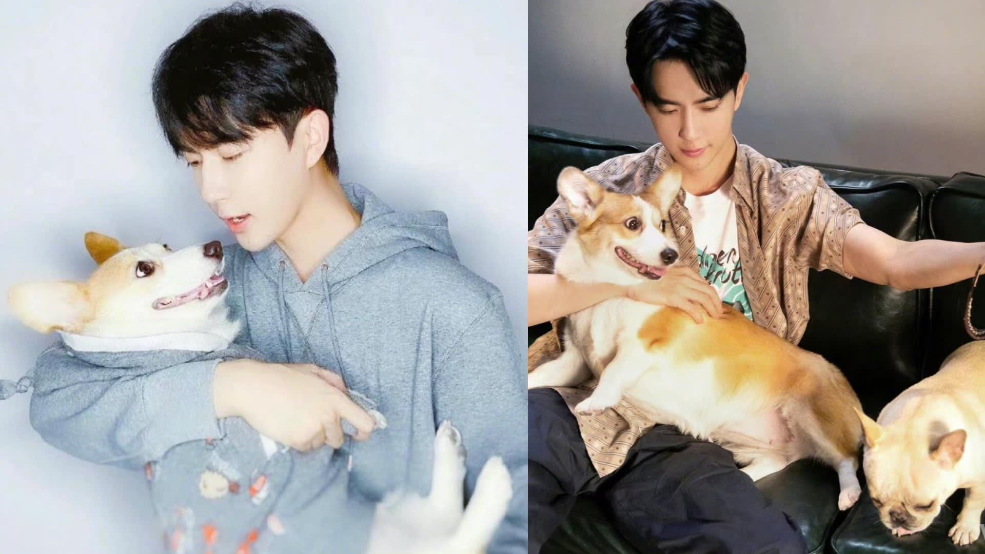 Yu Menglong Case Deepens: Alleged Audio Clip About His Dogs Surfaces ...